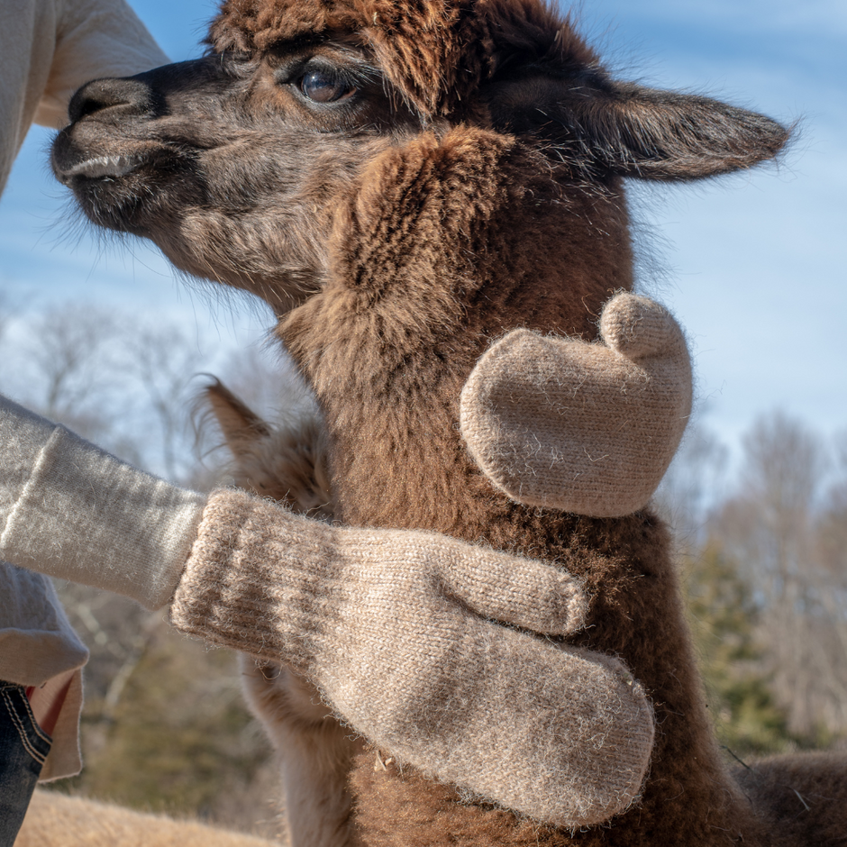 Products – American Made Alpaca